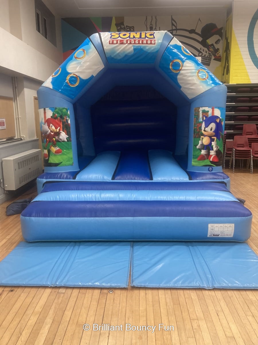 Sonic Themed Bouncy Castle - Bouncy Castle and Soft Play Hire in ...